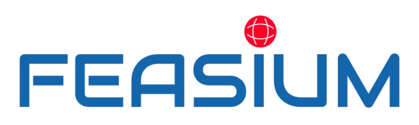 feasium Logo 1 – FEASIUM